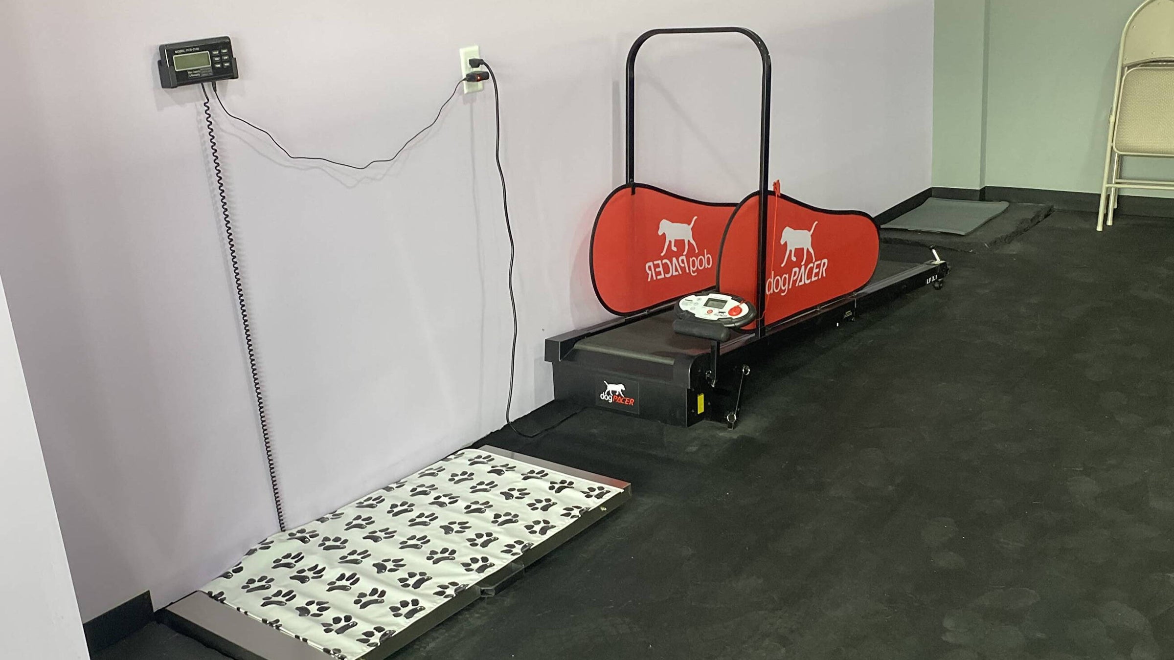 Home | MY LIL' PAWDISE