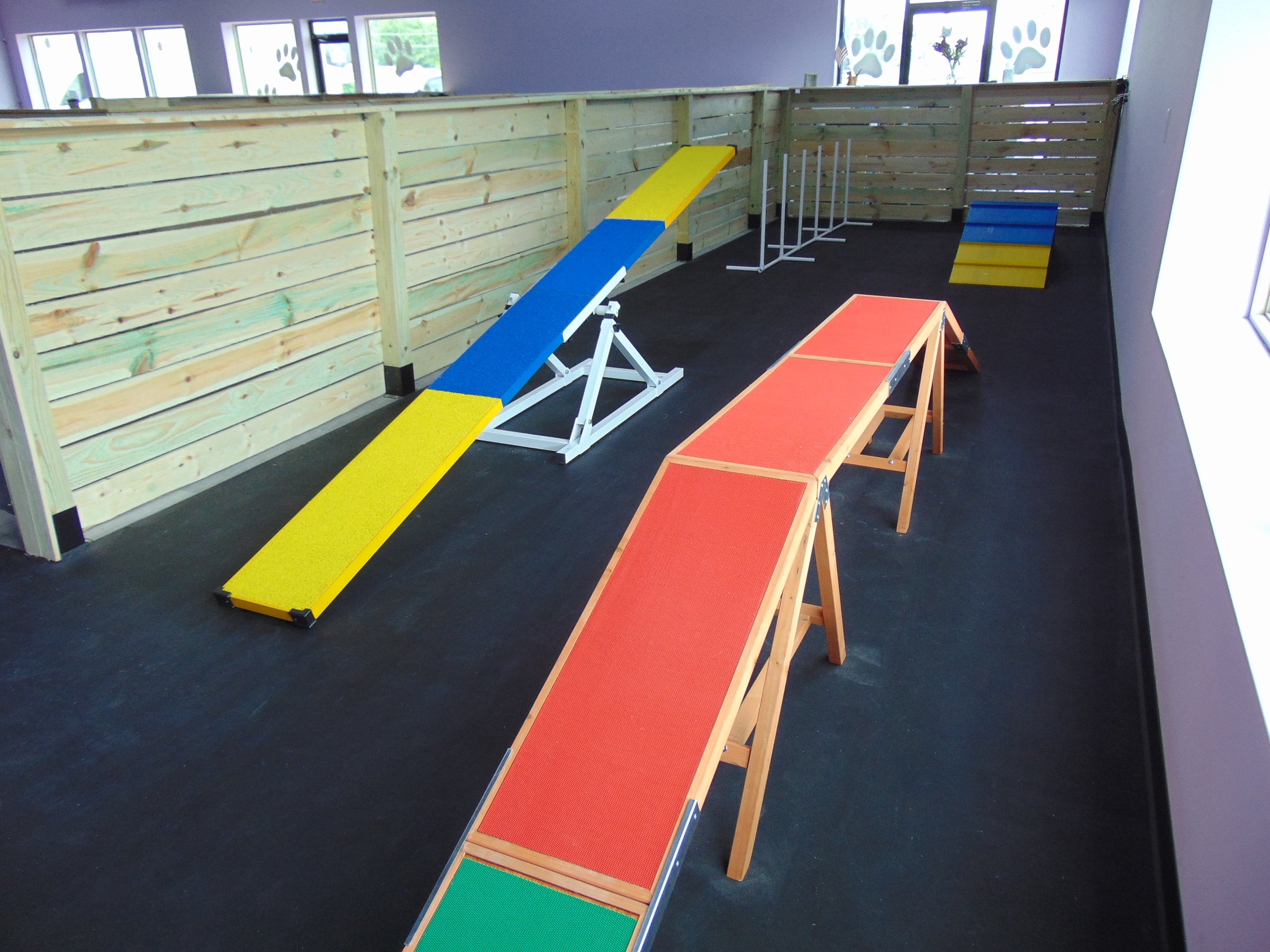 Home | MY LIL' PAWDISE